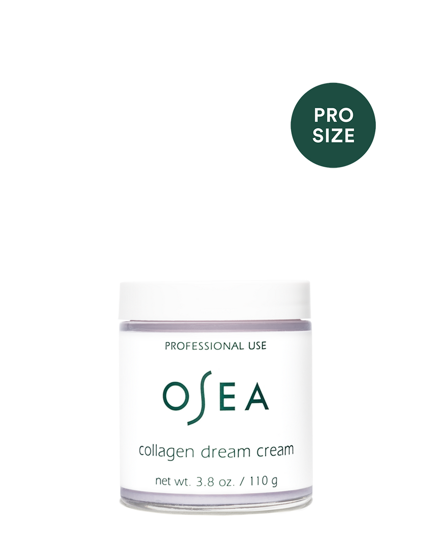 Osea Dream Night Cream – Wren & Wild